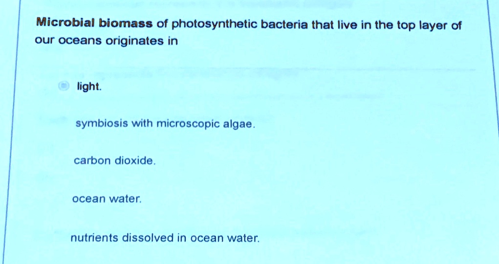 Microbial biomass of photosynthetic bacteria that live in the top layer ...