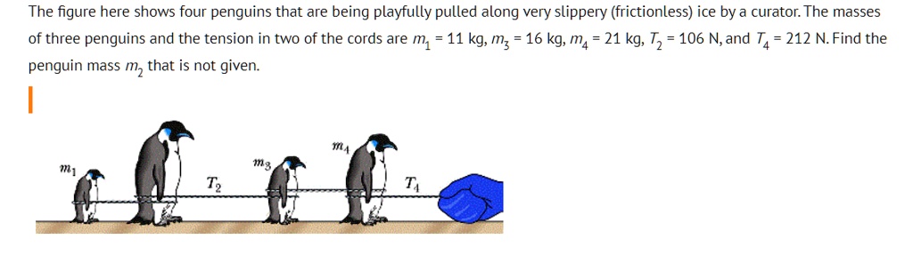 SOLVED: The figure here shows four penguins that are being playfully ...