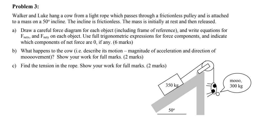 SOLVED: Problem 3: Walker and Luke hang a COW from a light rope which ...