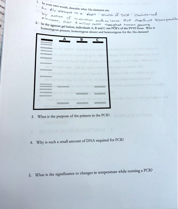 yout utds descrbe what alv elimnti kta ior 344 b dn clfedeaied actiol ...