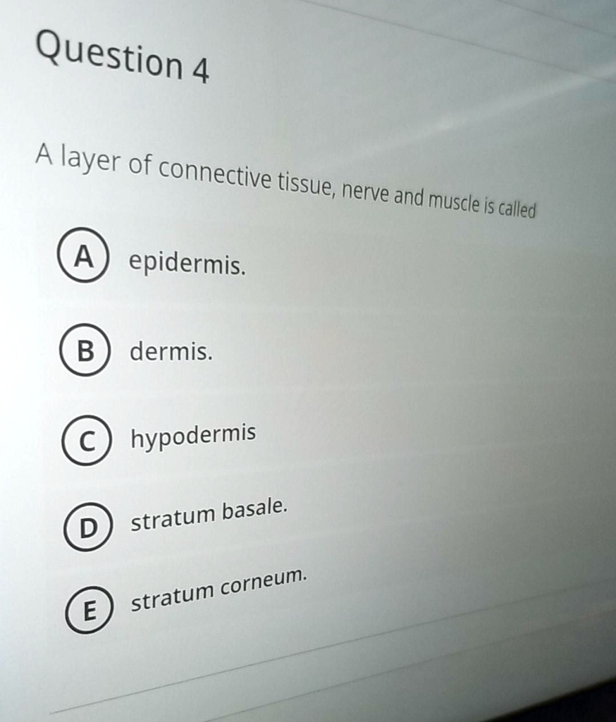 A layer of connective tissue, nerve, and muscle is called the dermis.