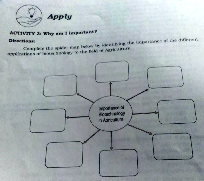 SOLVED: ACTIVITY 3: Why am I important? Directions: Complete the spider ...