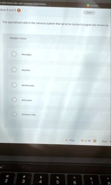 the specialized cells in the nervous system that serve to conduct a ...