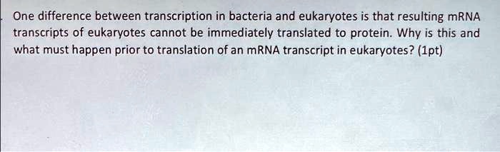 One difference between transcription in bacteria and eukaryotes is that ...