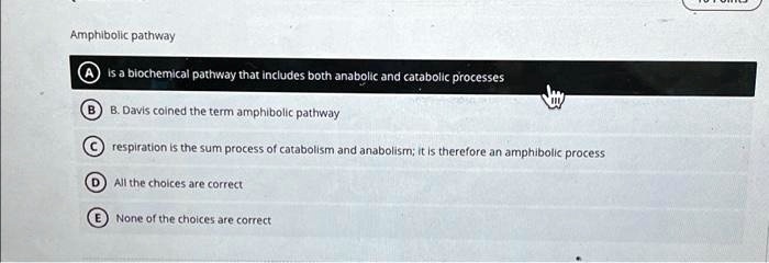 SOLVED: Amphibolic pathway is a biochemical pathway that includes both ... SOLVED: Amphibolic pathway is a biochemical pathway that includes both ...