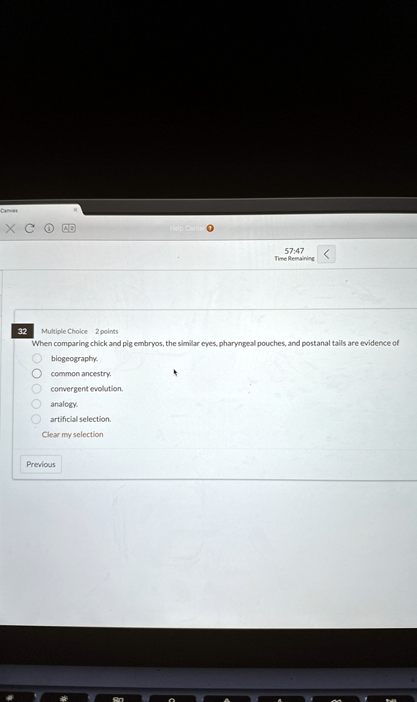 multiple choice 2 points when comparing chick and pig embryos the ...