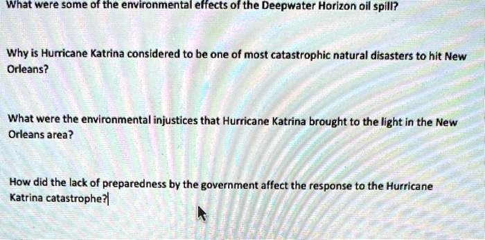 What were some of the environmental effects of the Deepwater Horizon ...