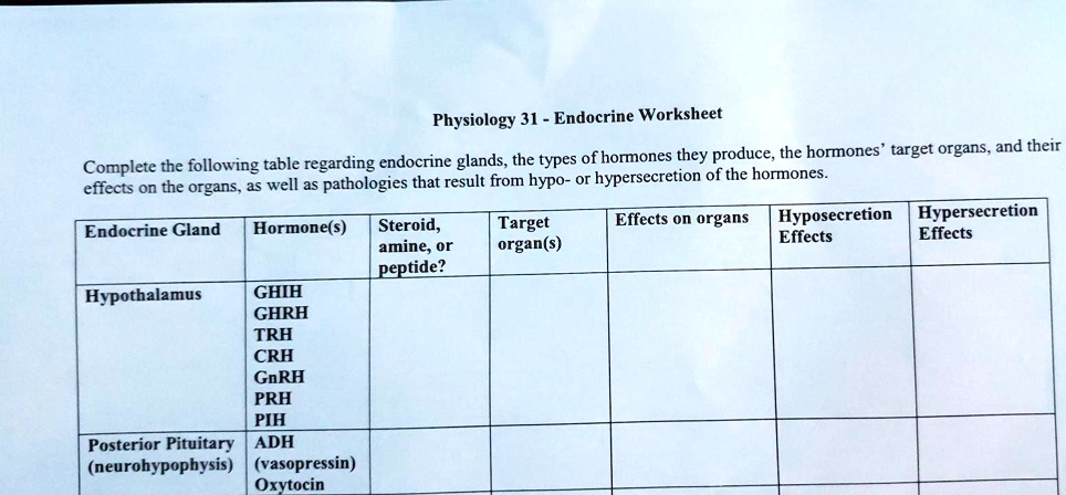 SOLVED: Physiology 31 Endocrine Worksheet: The Production of Hormones ...