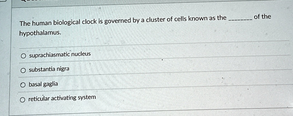 the human biological clock is governed by a cluster of cells known as ...