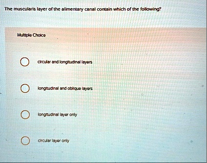 the muscularis layer of the alimentary canal contain which of the ...