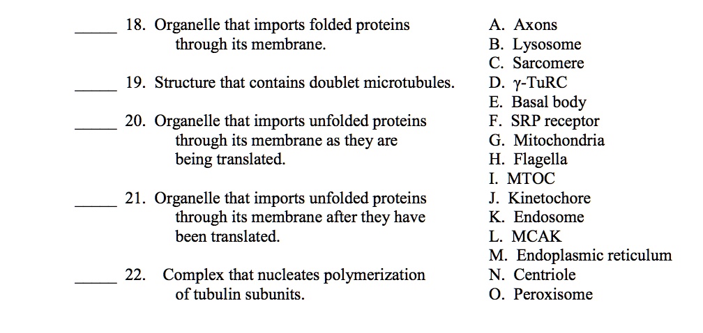 SOLVED:18 Organelle that imports folded proteins through its membrane ...