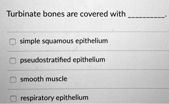 SOLVED: Turbinate bones are covered with simple squamous epithelium ...