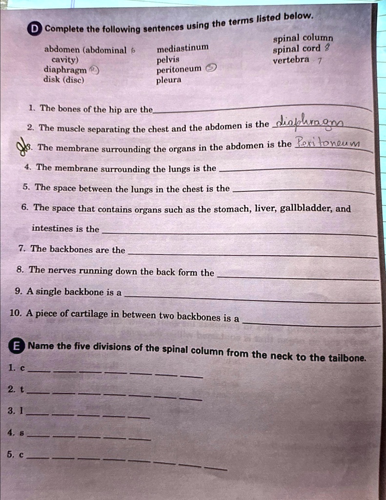 ? Complete the following sentences using the terms listed below ...