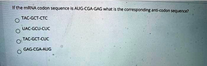 SOLVED: If the mRNA codon sequence is AUG CGA-GAG, what is the ...