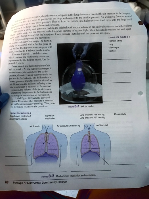 SOLVED: A bell jar can represent the movement. LABELS FOR FIGURE -1 ...