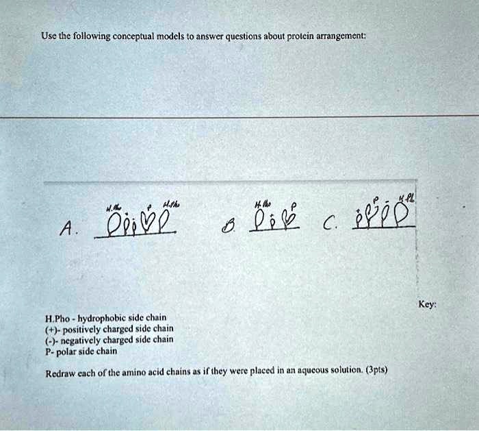SOLVED: Texts: Use the following conceptual models to answer questions ...