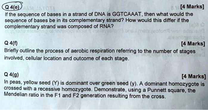 SOLVED: Q4(e) [4 Marks] If the sequence of bases in a strand of DNA is GGTCAAAT, then what would ...