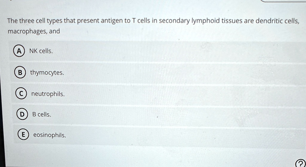 The three cell types that present antigen to T cells in secondary ...