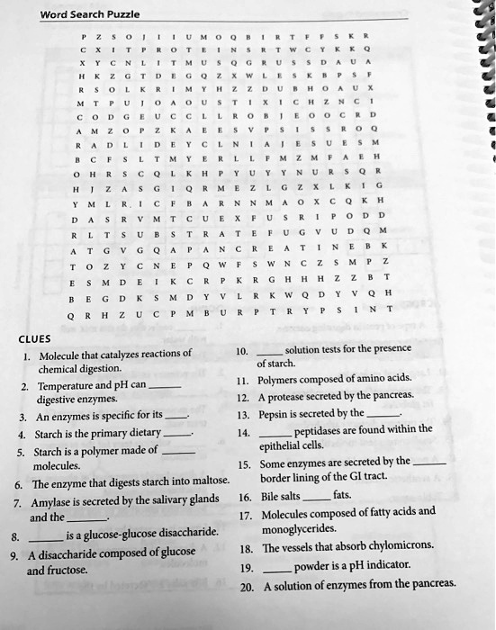 SOLVED: Word Search Puzzle CLUES: 1. Molecule that catalyzes reactions ...