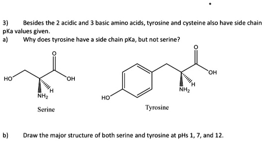 3) Besides the 2 acidic and 3 basic amino acids, tyrosine and cysteine ...