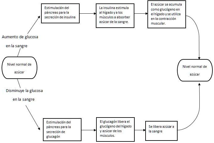 SOLVED: Después de desayunar una arepa con queso, un jugo de melón y ...