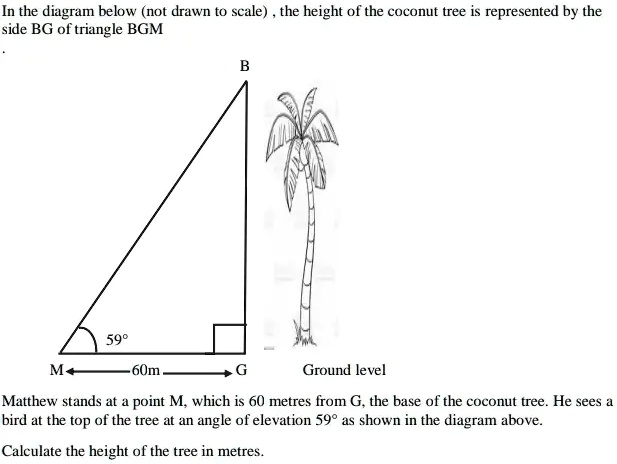 SOLVED: In the diagram below (not drawn to scale), the height of the ...