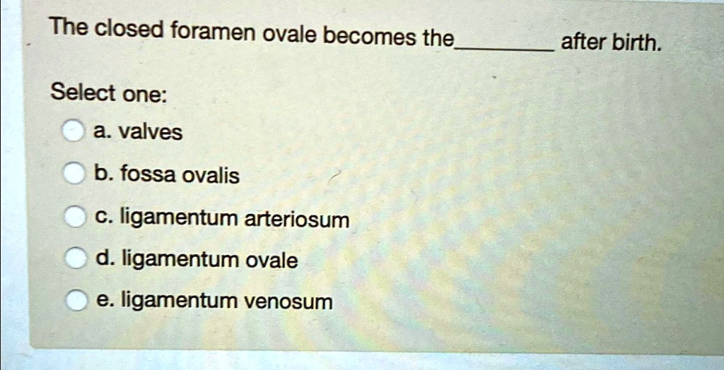 SOLVED: The closed foramen ovale becomes the afterbirth. Select one: a ...