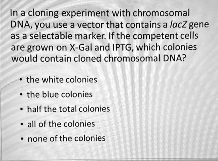 SOLVED: In a cloning experiment with chromosomal DNA, you use a vector that contains a lacZ gene ...