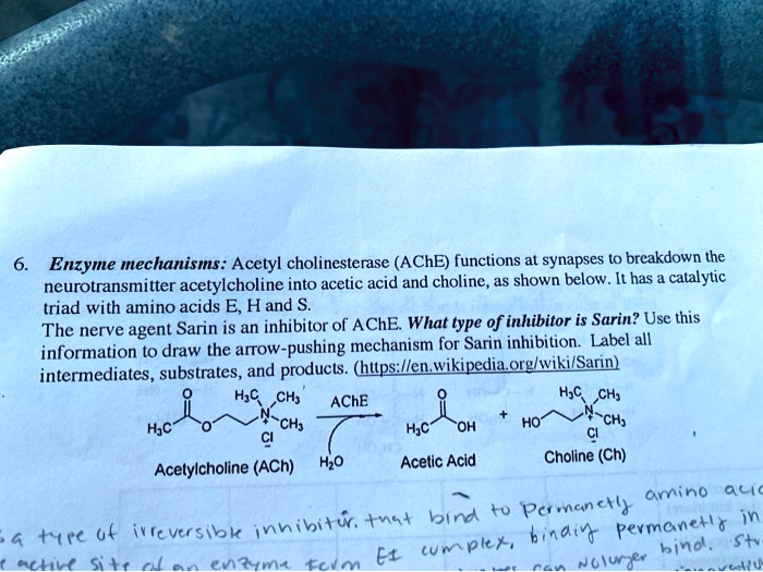 SOLVED: Enzyme mechanisms: Acetylcholinesterase (AChE) functions at ...
