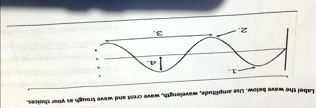 Label the wave below. Use amplitude, wavelength, wave crest and wave ...
