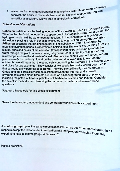 SOLVED: Cohesive Life on Earth: Water has four emergent properties that ...