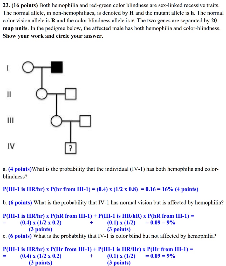 23. (16 points) Both hemophilia and red-green color blindness are sex ...