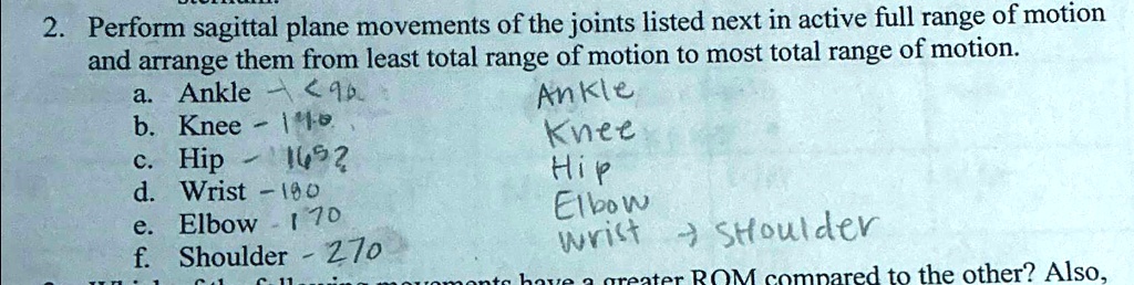 Perform sagittal plane movements of the joints listed next in active ...