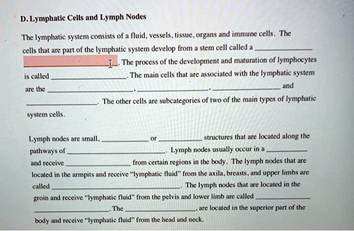 SOLVED: Lymphatic Cells and Lymph Nodes The lymphatic system consists ...