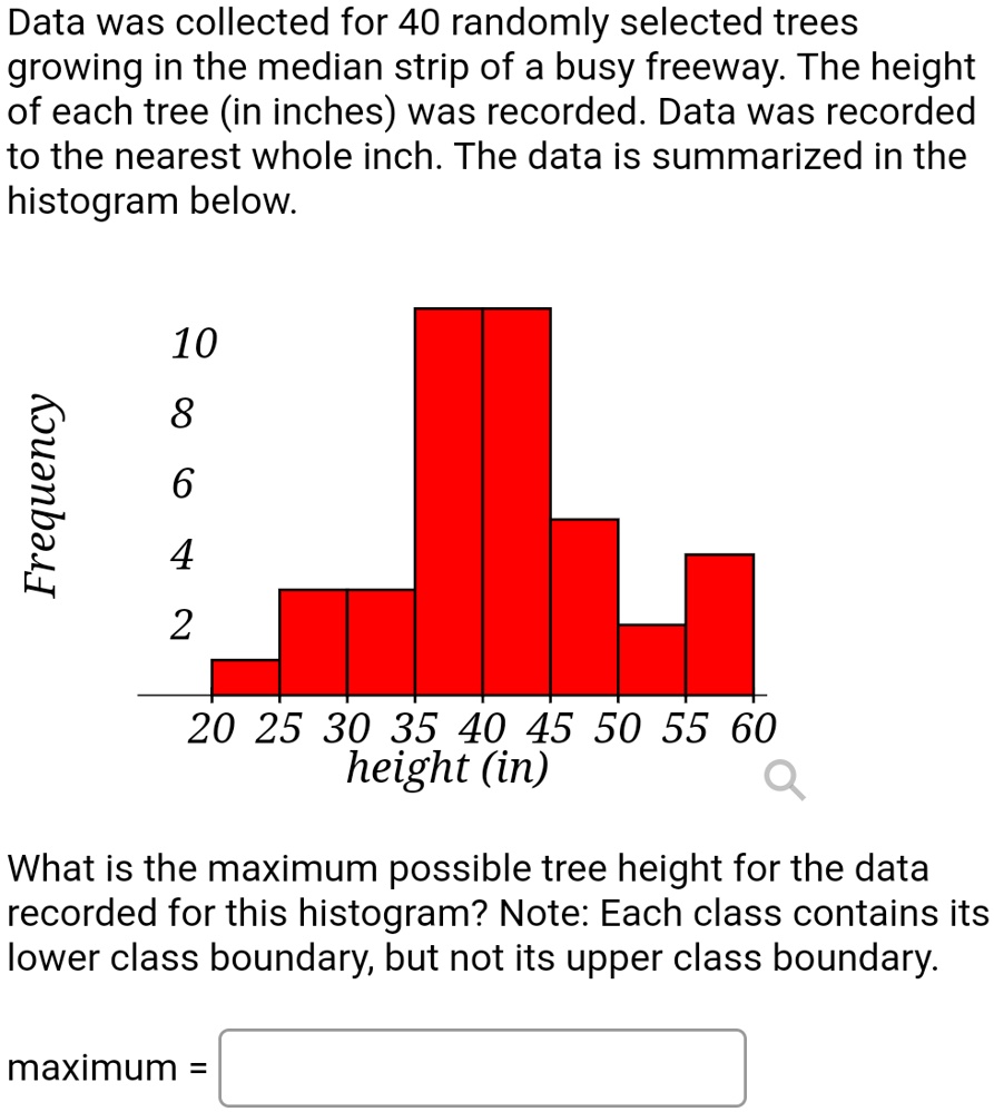 Data was collected for 40 randomly selected trees growing in the median strip of a busy freeway ...