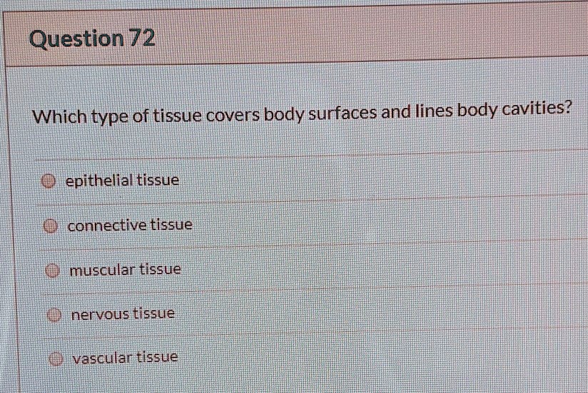 SOLVED: Question 72 Which type of tissue covers body surfaces and lines ...