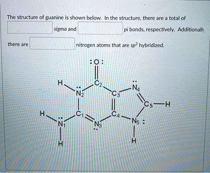SOLVED: The structure of guanine is shown below. In the structure ...