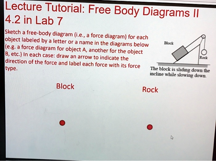 SOLVED: [Lecture Tutorial: Free Body Diagrams M 4.2 in Lab 7 sketch a ...