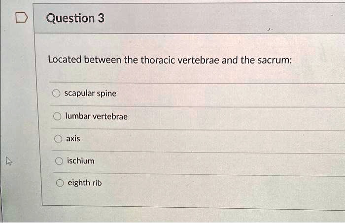 SOLVED: Located between the thoracic vertebrae and the sacrum: O ...