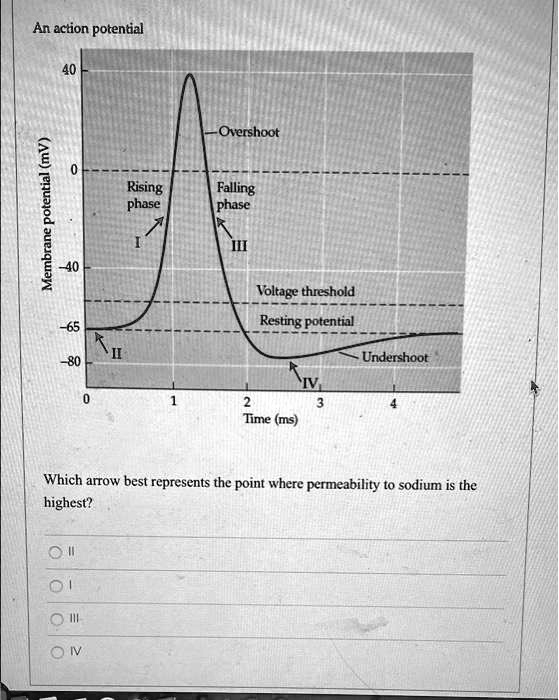 An action potential 40 Membrane potential (mV) 0 Overshoot Rising phase ...