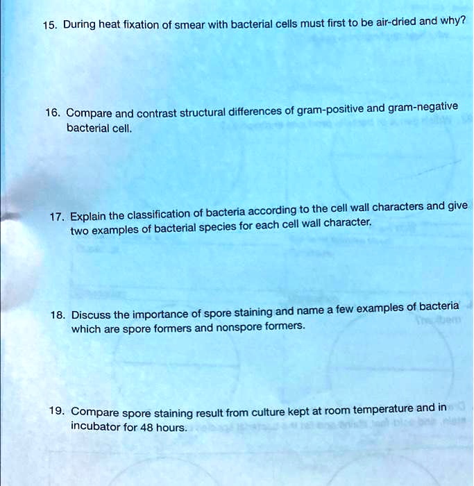 15. During heat fixation of smear with bacterial cells must...