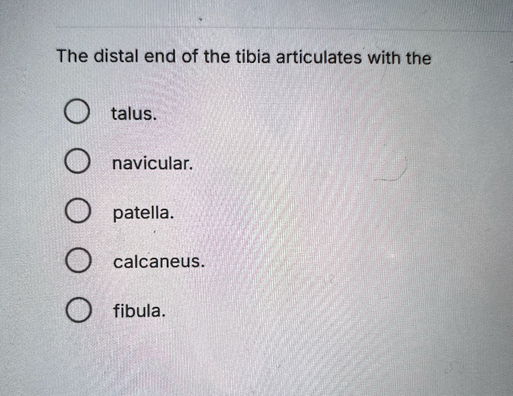 [GET ANSWER] the distal end of the tibia articulates with the talus ...