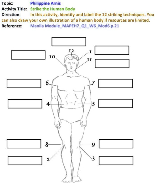 in this activity identify and label the 12 striking techniques youcan ...