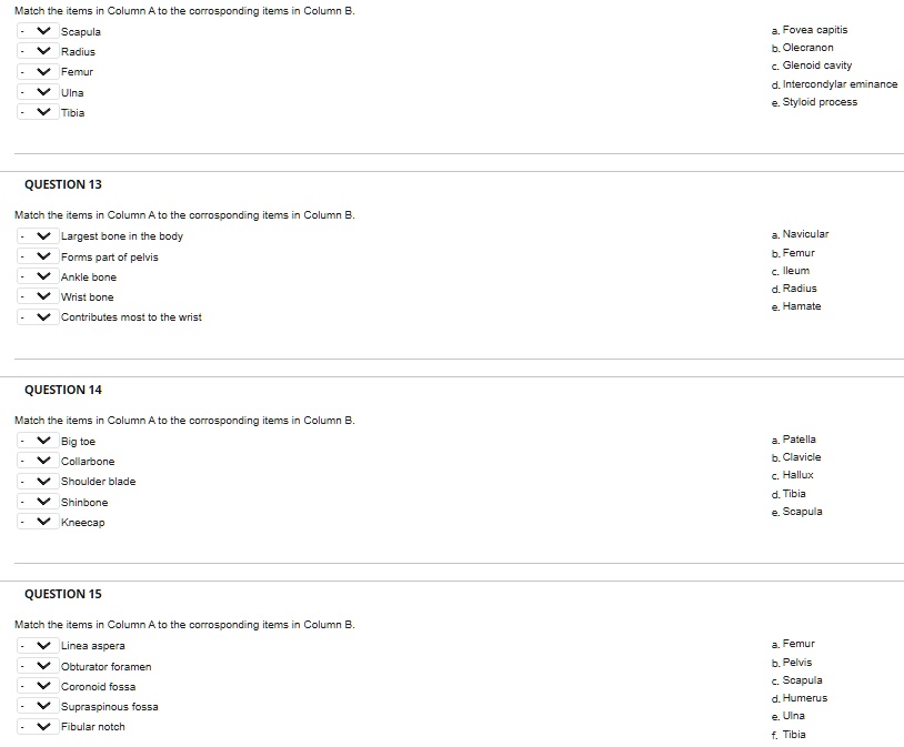 Match the items in Column A to the corresponding items in Column B ...