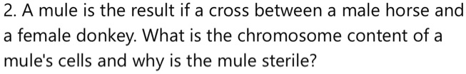 SOLVED: 2 A mule is the result if a cross between a male horse and ...