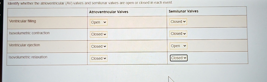 Identify whether the atrioventricular (AV) valves and semilunar valves ...