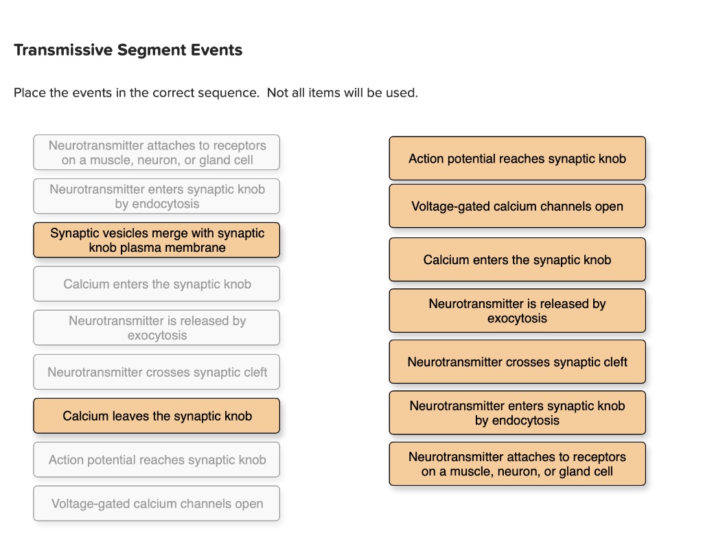 Transmissive Segment Events Place the events in the correct sequence ...