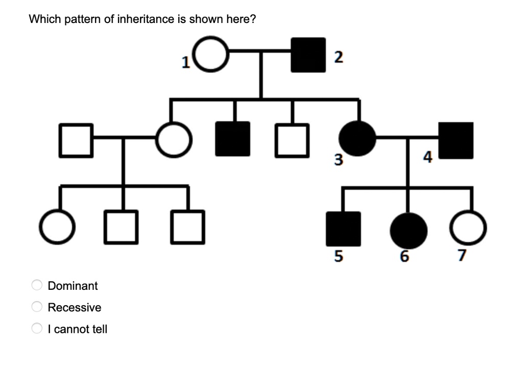 SOLVED: Which pattern of inheritance is shown here? 2 3 7 Dominant Recessive I cannot tell