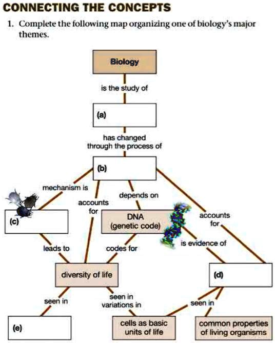 CONNECTING THE CONCEPTS 1. Complete the following map organizing one of ...