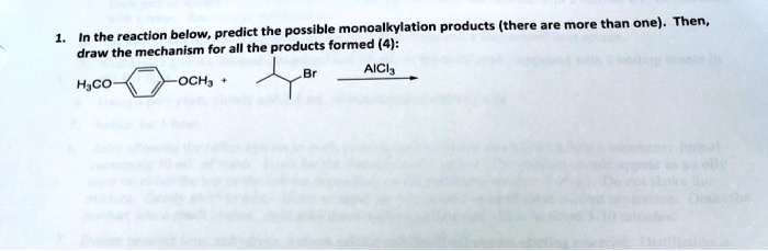 1. In the reaction below, predict the possible monoalkylation products ...